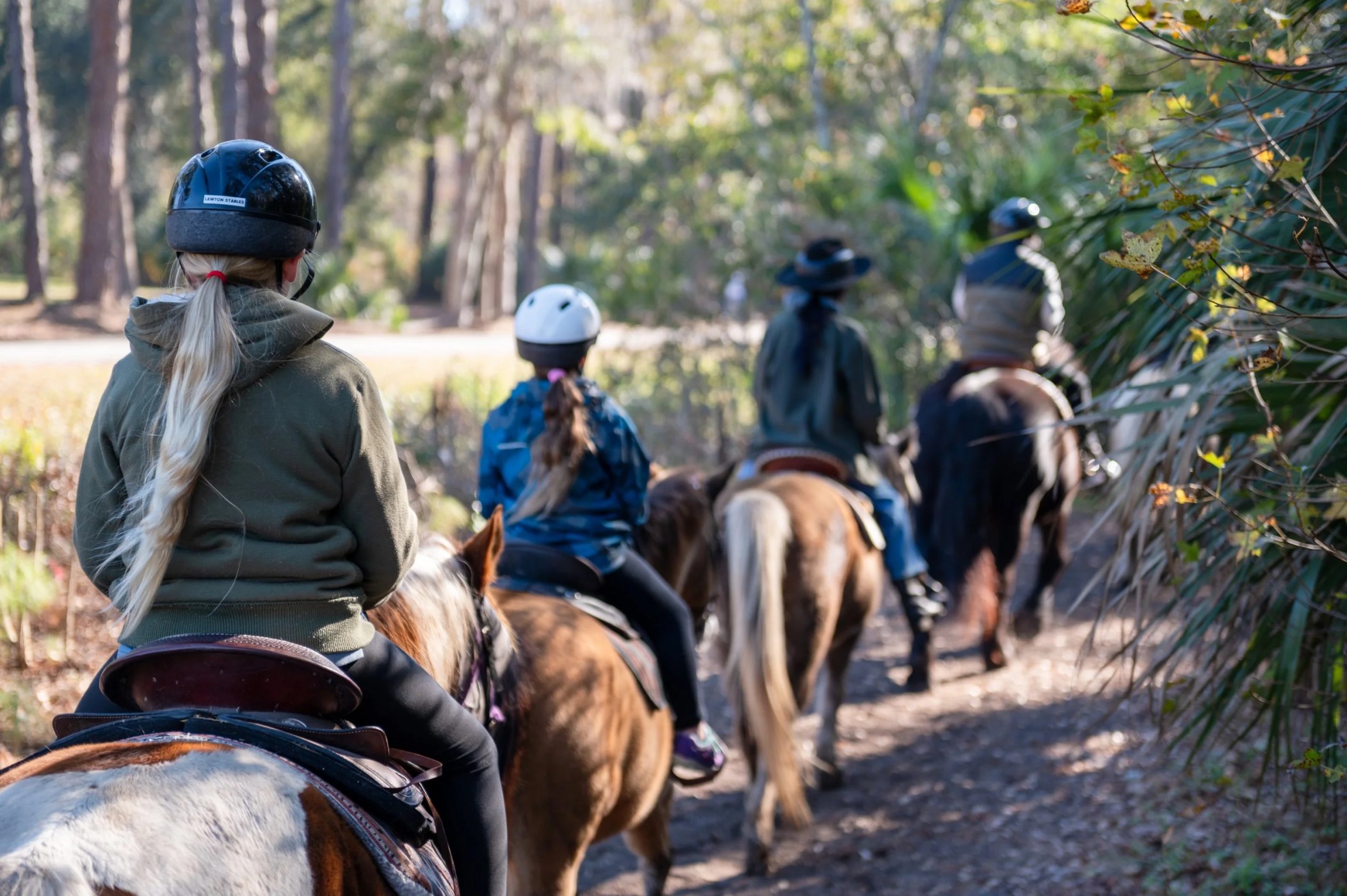 Lawton Stables | Carriage & Horseback Rides on Hilton Head Island